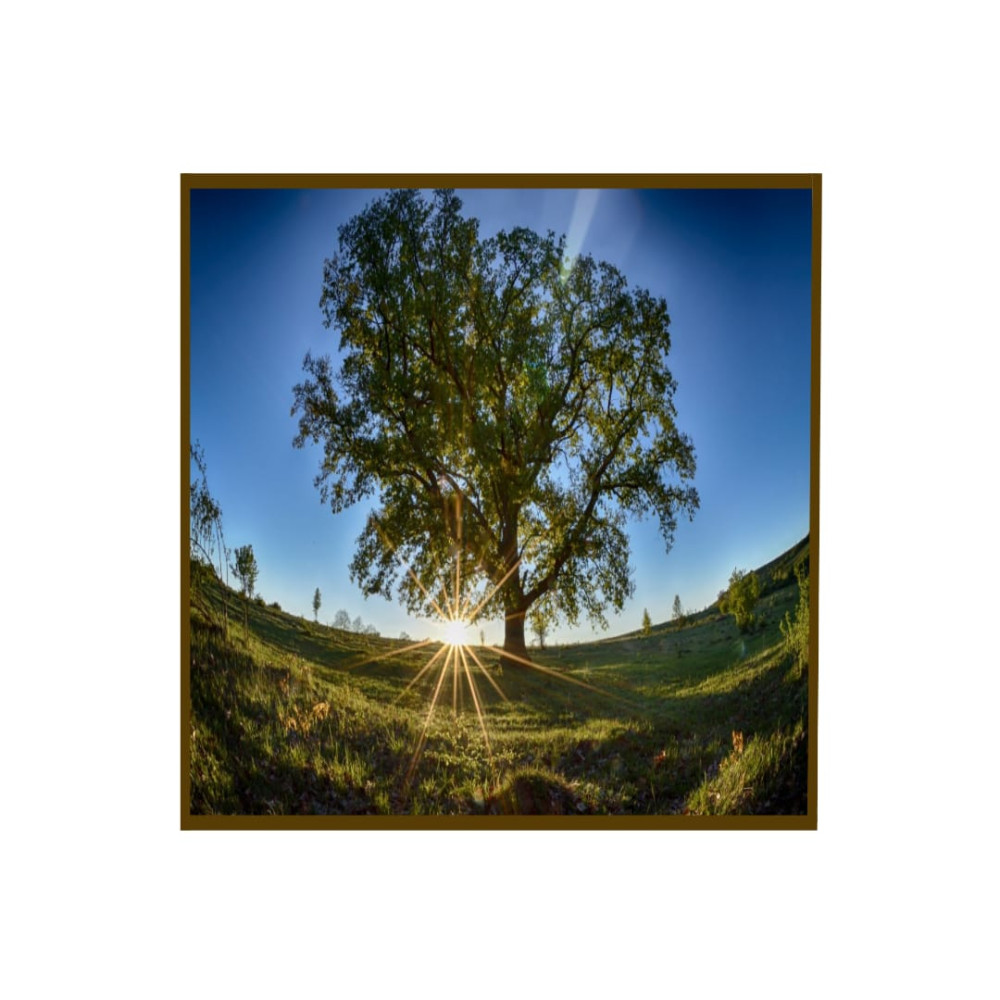 Panou radiant infrarosu DRAGUS, imprimat imagine Copac Verde 60/60cm ...