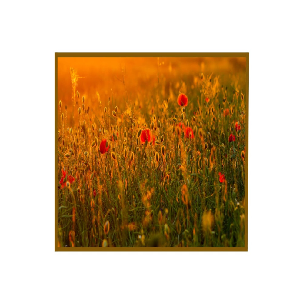 Panou radiant infrarosu DRAGUS, imprimat imagine Maci 60/60cm 300W/250W ...