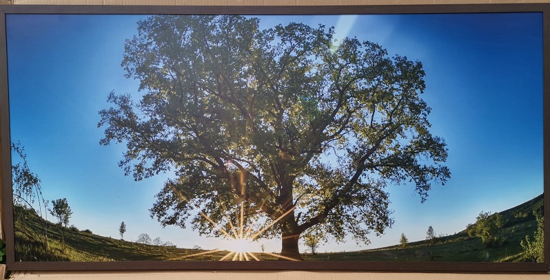 Panou radiant infrarosu DRAGUS, imprimat imagine Copac Verde 125/60cm ...